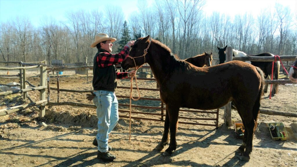 StockBIZ: From horses to performing to coaching, Michael Fouts ...